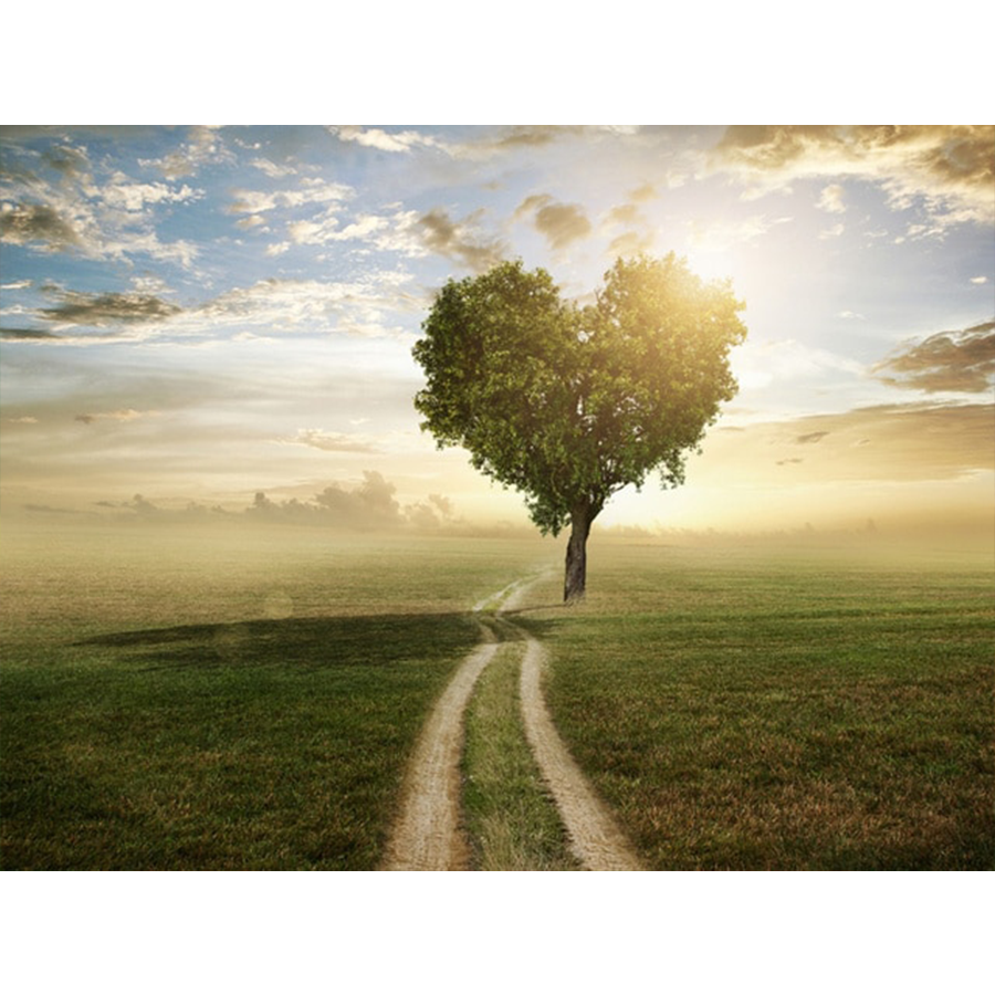 Hartjes Boom Zon | Myth Of Asia